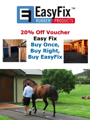 Day 23: EasyFix Rubber Products