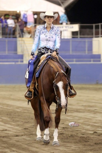 Sire on Fire: HF Somethin Hot - Australias Leading AQHA Performance Sire