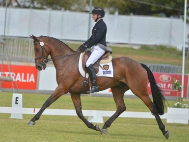 Rose Takes the Early Lead in the Adelaide CCI4