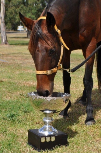 The Silverware is Polished and Ready for the 2012 Barastoc Polocrosse ...