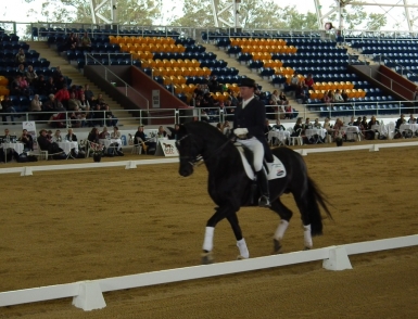 2013 Horseland Qld Festival of Dressage: Program Video