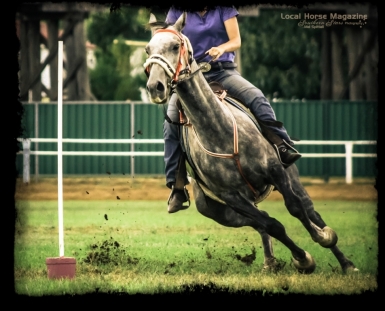 Training Tip - Turning Your Horse